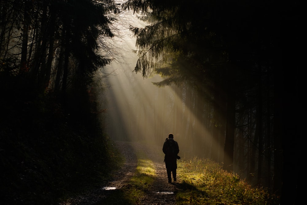 GOD’S DESCRIPTION OF YOU – TruthInk Publications