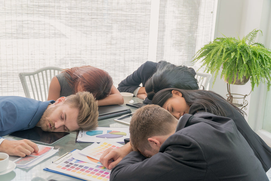 People Sleeping In Meeting